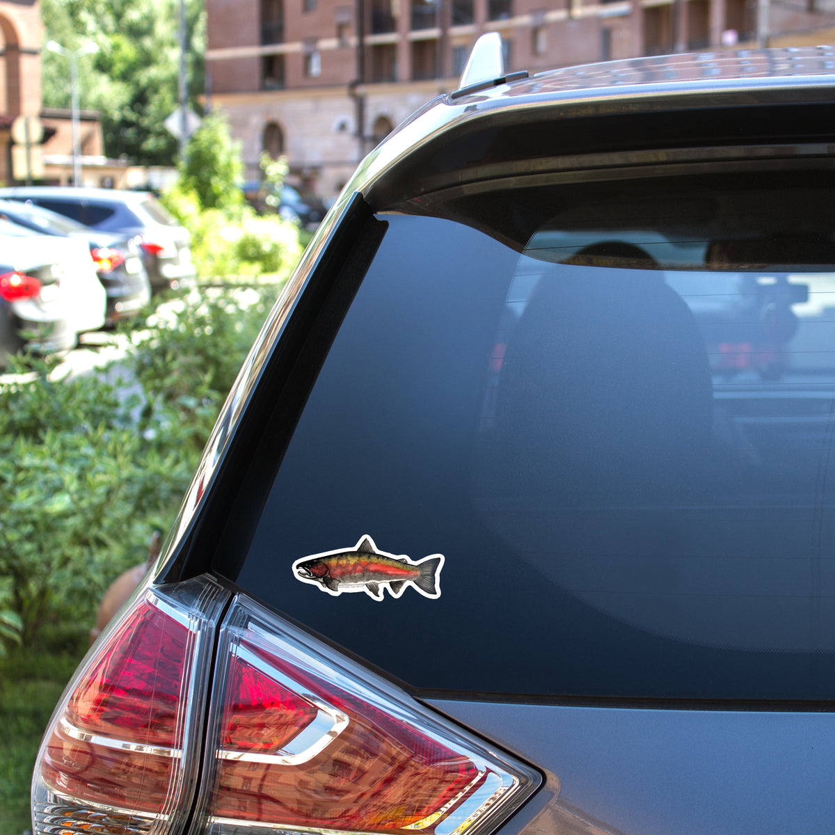 Dark Coho Salmon Sticker – Restore The Wild